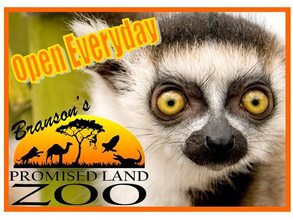 Come and Visit Branson’s Promised Land Zoo - ThousandHills.com